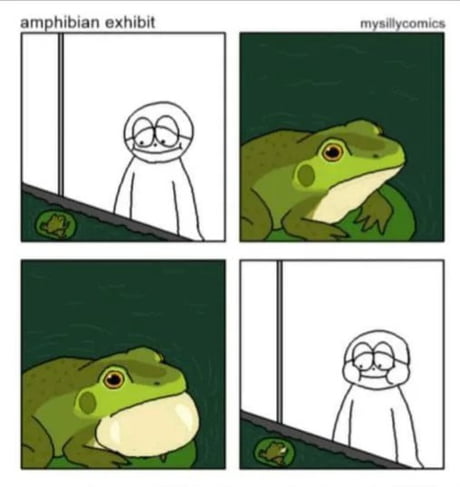 Best Funny aaaaaaaaaaaaaaaaaaaaaaaaa Memes - 9GAG