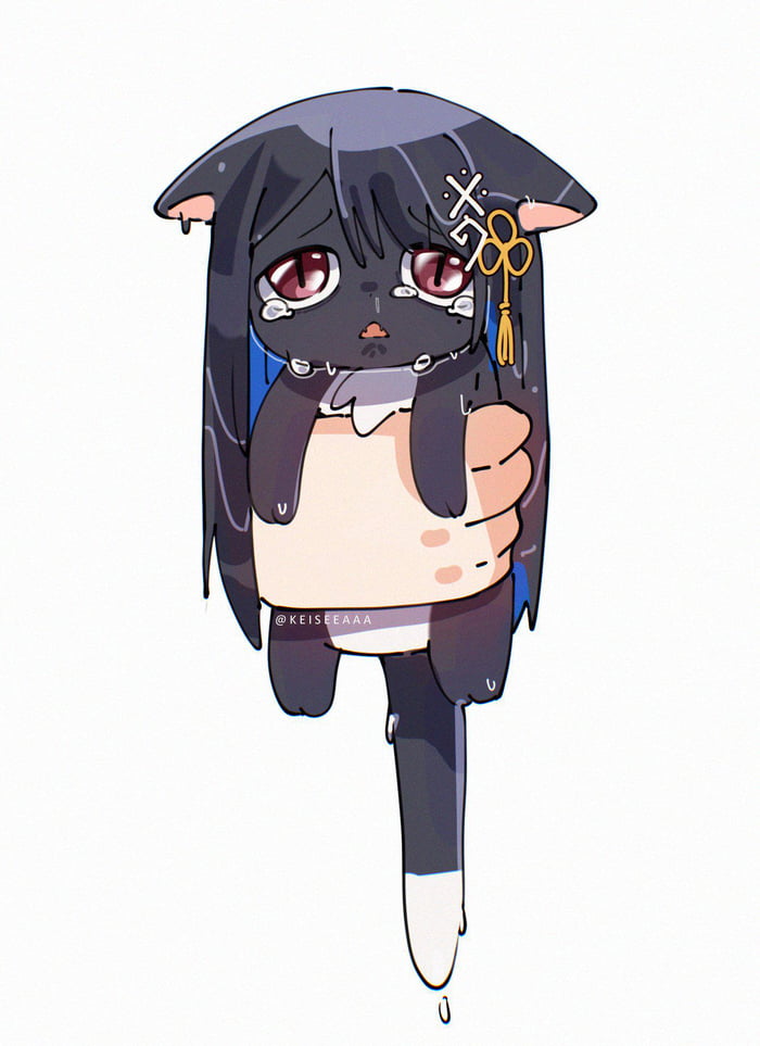 Wet cat nerissa - 9GAG