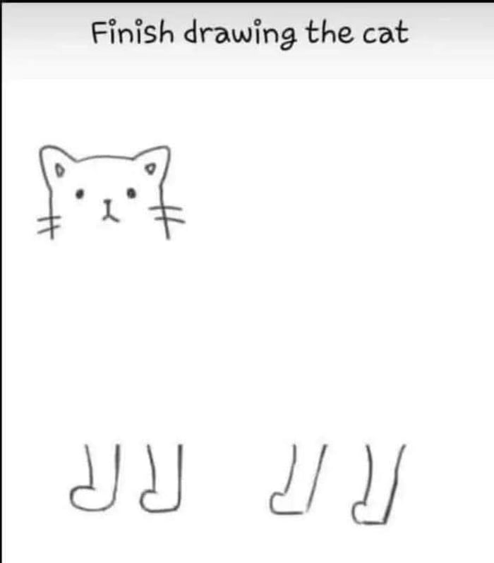 Finish drawning the cat. - 9GAG