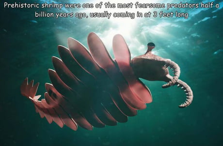 Best Funny predator Memes - 9GAG