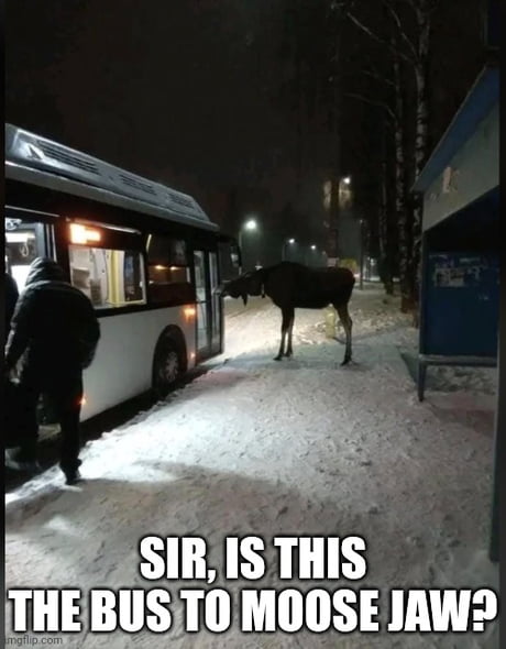 Moose Hoof Memes I Was Born With A Six String On My Hoof...Inspired By