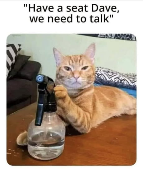 Best Funny scolding Memes - 9GAG