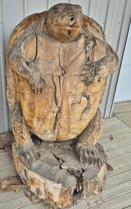 Best Funny shell shocked Memes - 9GAG