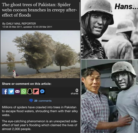 Bevroren Meme Hans