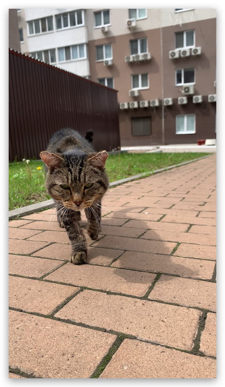 Baby Fark McGeeZax - 9GAG