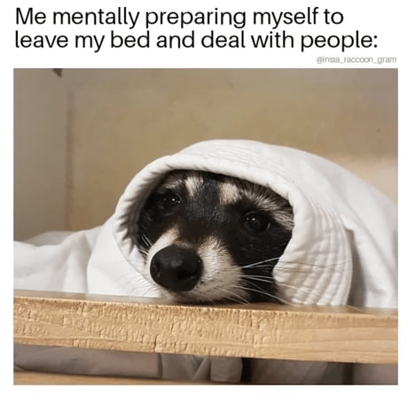 Best Funny trash panda Memes - 9GAG