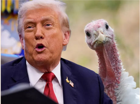 Best Funny gobble Memes - 9GAG