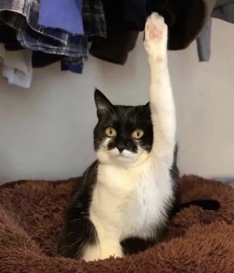 IceBlendLatte - 9GAG