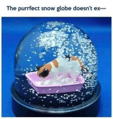 Best Funny globe Memes - 9GAG