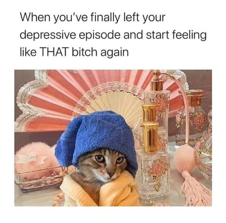 Best Funny sassy Memes - 9GAG