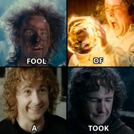 Best Funny fool Memes - 9GAG