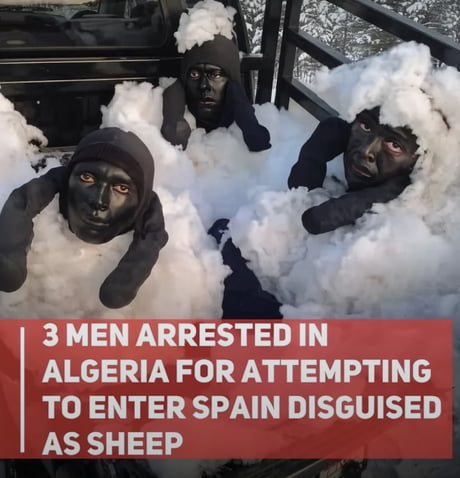 Best Funny migration Memes - 9GAG