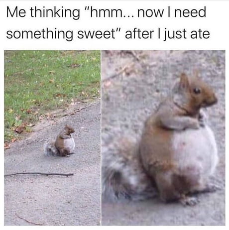 Best Funny dessert Memes - 9GAG
