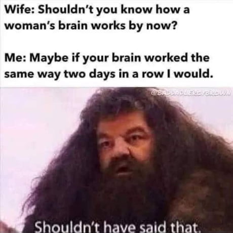 Best Funny hagrid Memes - 9GAG