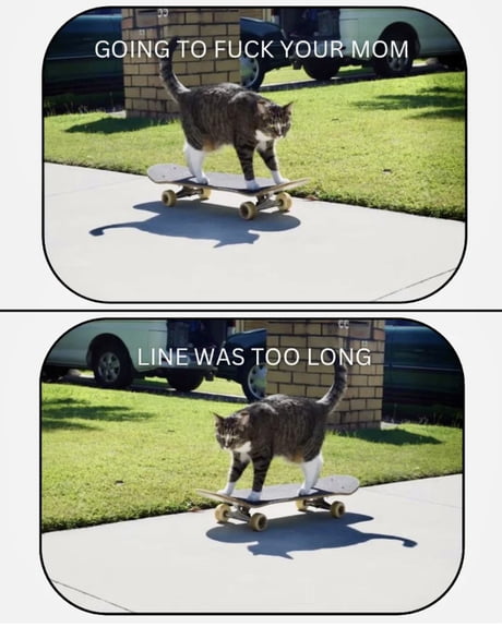 Best Funny funnyanimals Memes - 9GAG