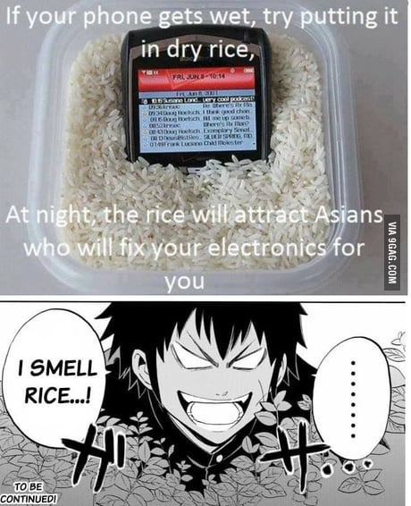 Asian Rice Phone Memes 638383663 | General Knowledge Facts, Know