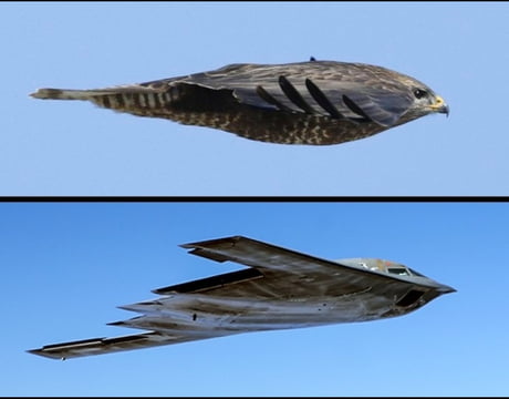 Best Funny northrop grumman b 2 spirit Memes - 9GAG