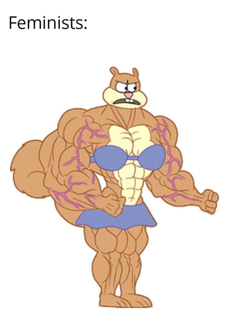 Sandy Squirrel Jokes