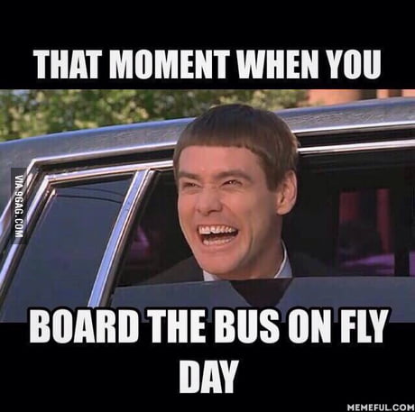 Funny Fly Day Memes