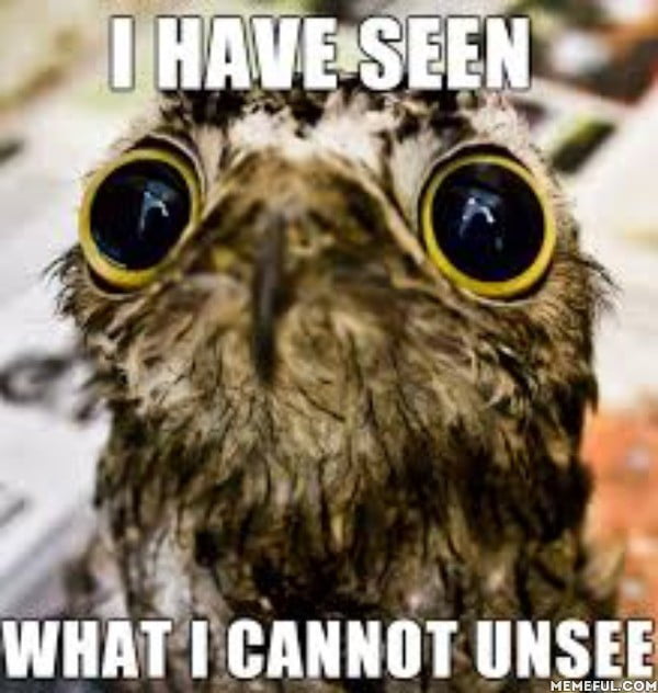 I need some "OH MY EYES!" Memes - hit me with your best ones 9GAG. - 9GAG