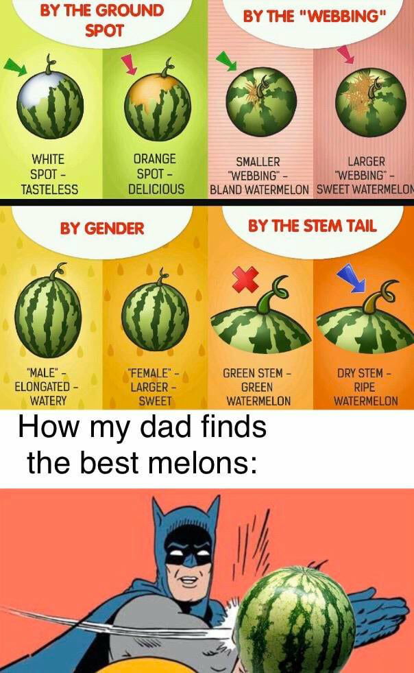 Slap them melons - 9GAG