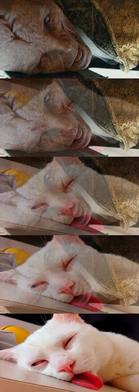 Useless Layabout - 9GAG