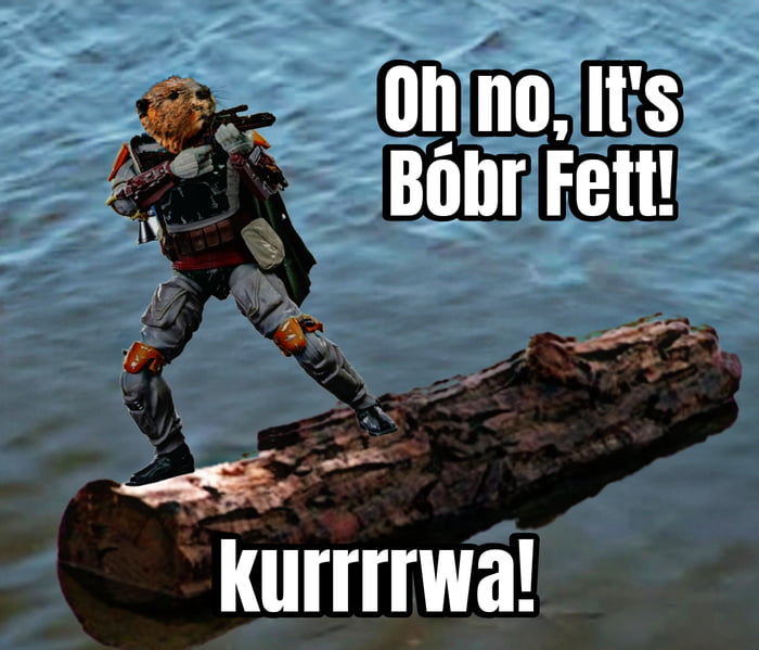 The Man, The Myth, The Bóbr Kurrwa! - 9GAG