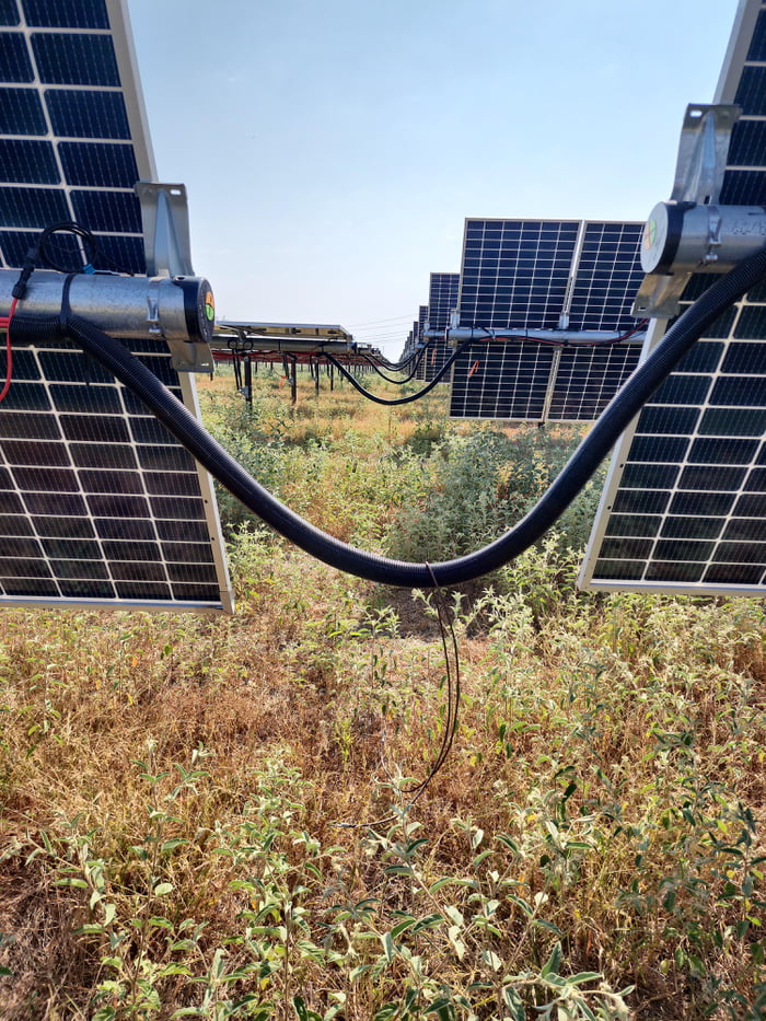 Bonding all done boss. - 9GAG