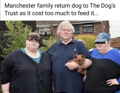 I promise, its defo a new funny photo or meme. Honest | Page 2691 ...