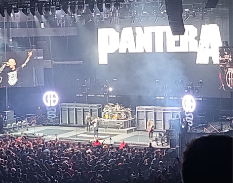 Best Funny pantera Memes - 9GAG