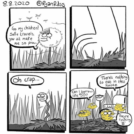 Best Funny flower Memes - 9GAG