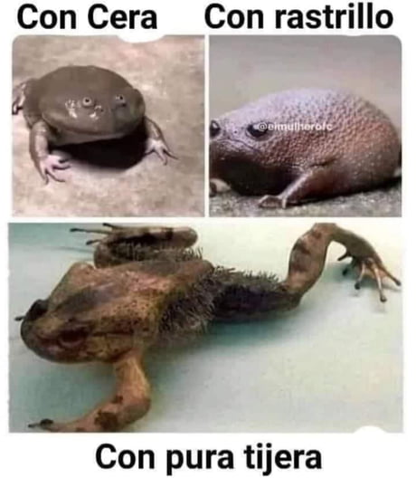 Memes El Pilin Pin By Axel Perez On Memes De Risa | Family Guy,