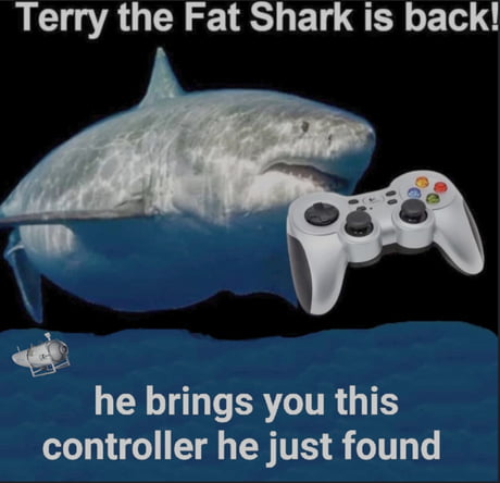 Best Funny terry the fat shark Memes - 9GAG