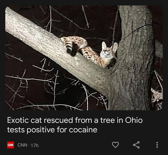 Is that normal in Ohio? - 9GAG