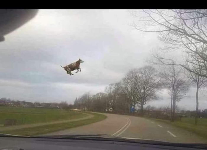 It's very windy in Denmark today... - 9GAG