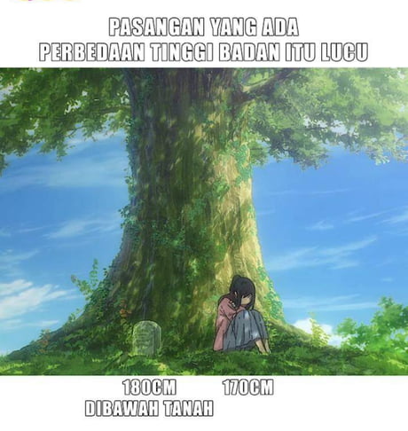 teri asin alami - 9GAG