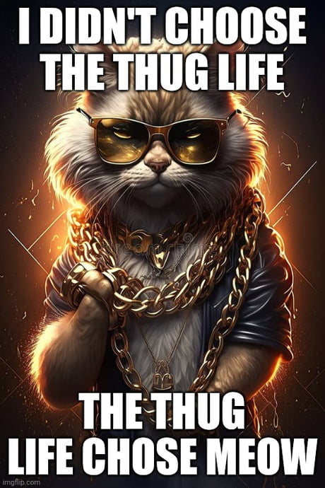 Thug Life Cat Meme
