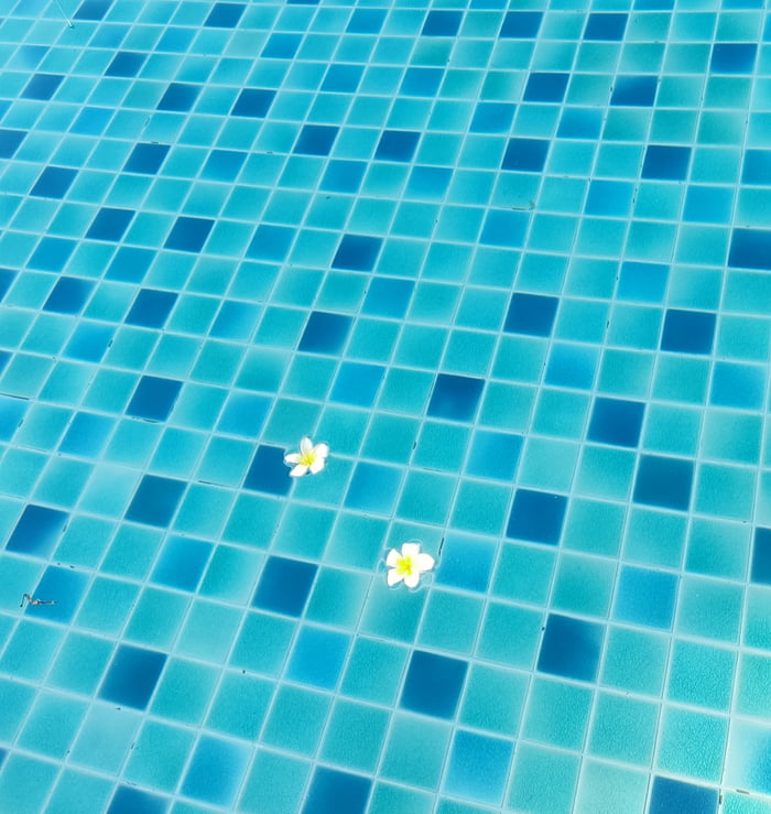 Chilling at the pool in Thailand and thinking about zima blue - 9GAG