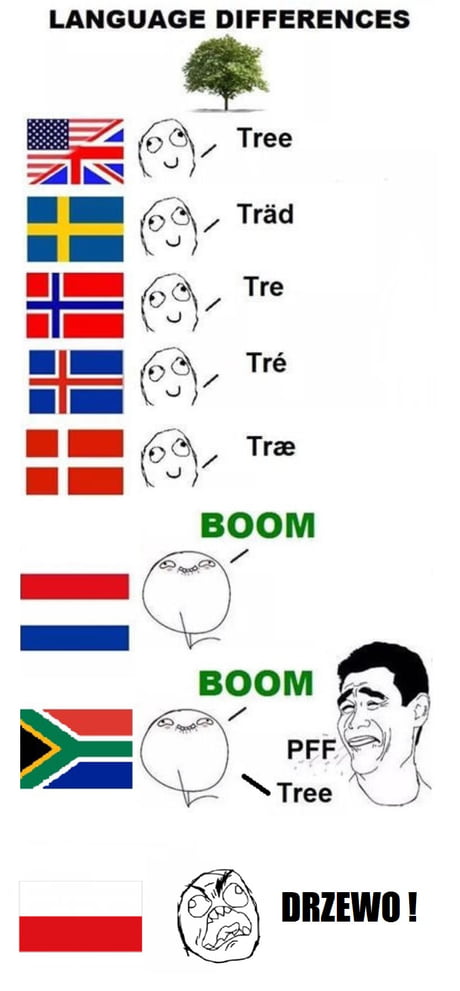 Language Differences Memes
