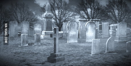 Shelly Remington - 9GAG