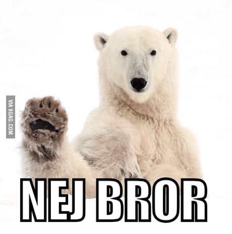 Nej Bror Memes Auf Den Spuren Der Antiken Memes