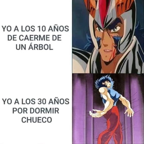 Fenix Ikki Memes