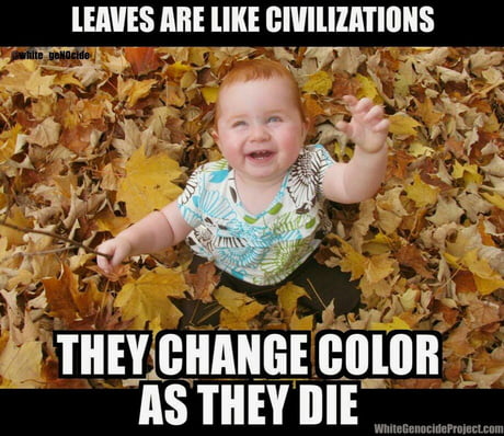 Best Funny muh diversity Memes - 9GAG