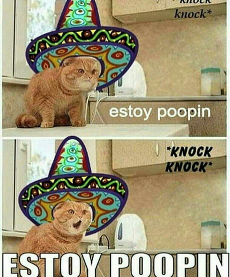 Estoy Poopin Memes Isn't It Adorable That Peanut Can Hug Sammy Again?!