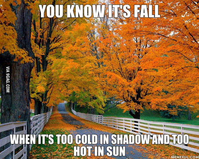 Fall is coming - 9GAG