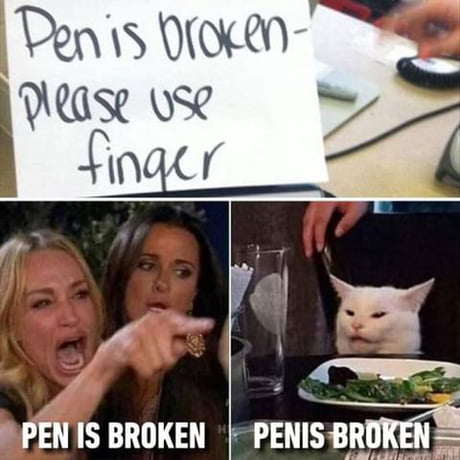 Best Funny table cat Memes - 9GAG