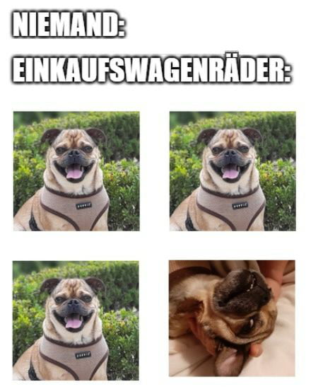 Niemand Memes