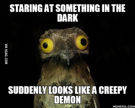 Meme Stare Creepy @vitaliyin's Video Tweet