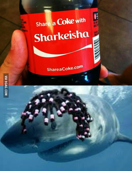 Sharkeisha Shark Meme