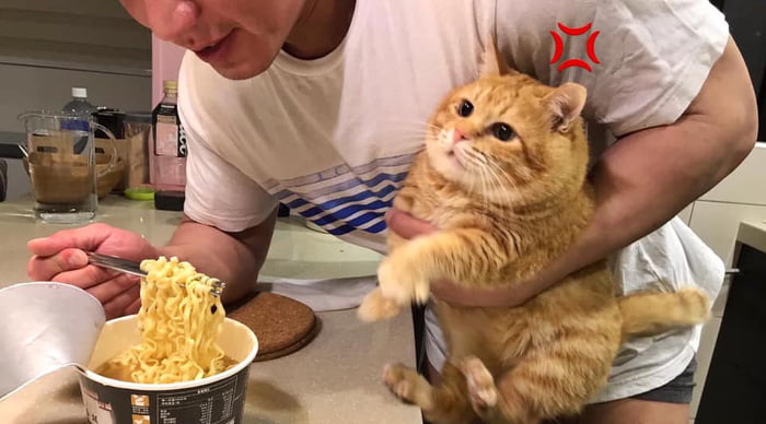 Meet Fat Xiang, The Chonk Who Is Always Tired - 9GAG